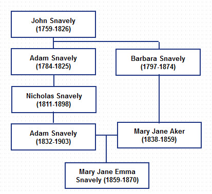 Family Tree or Family Graph | cluster genealogy